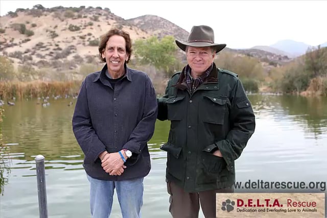 Help Support DELTA Rescue - donations are needed