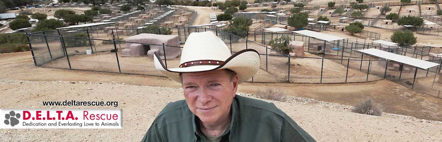 Frequently Asked Questions about DELTA and animal rescue