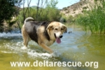 D.E.L.T.A. Rescue Super Sanctuary - DELTA Rescue Care for Life Animal ...