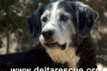 D.E.L.T.A. Rescue Super Sanctuary - DELTA Rescue Care for Life Animal ...
