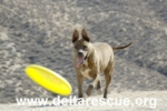 D.E.L.T.A. Rescue Super Sanctuary - DELTA Rescue Care for Life Animal ...
