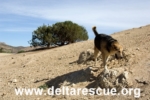 D.E.L.T.A. Rescue Super Sanctuary - DELTA Rescue Care for Life Animal ...