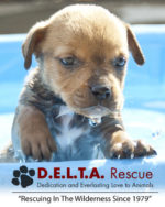 It’s frightening to think of what could have happened to Richard, and ...