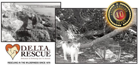 Our 40th Anniversary - DELTA Rescue Care for Life Animal Sanctuary