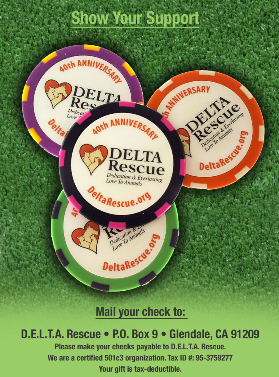 D.E.L.T.A. Rescue Latest News - DELTA Rescue Care for Life Animal Sanctuary