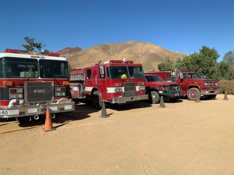 D.E.L.T.A. Rescue Latest News - DELTA Rescue Care for Life Animal Sanctuary
