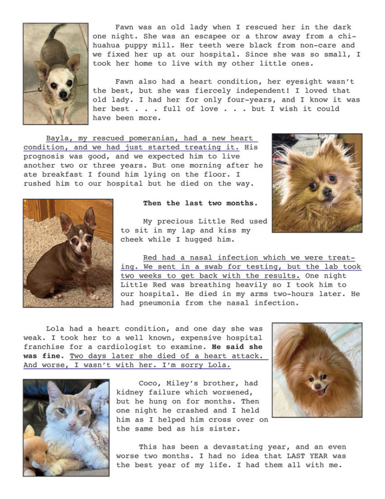 Each month we send a newsletter to our Partners to keep them informed ...