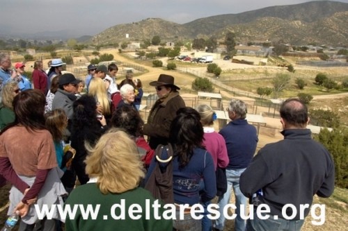 Learn more about this no-kill animal sanctuary - DELTA Rescue